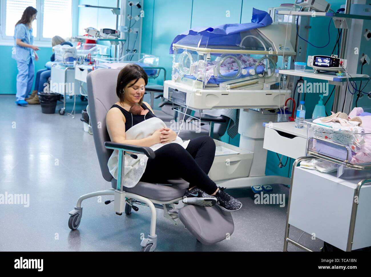 Mother kangaroo care hi-res stock photography and images - Alamy