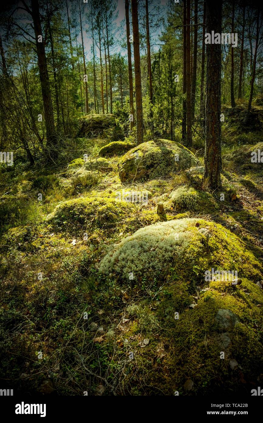 Beech ridge farm hi-res stock photography and images - Alamy