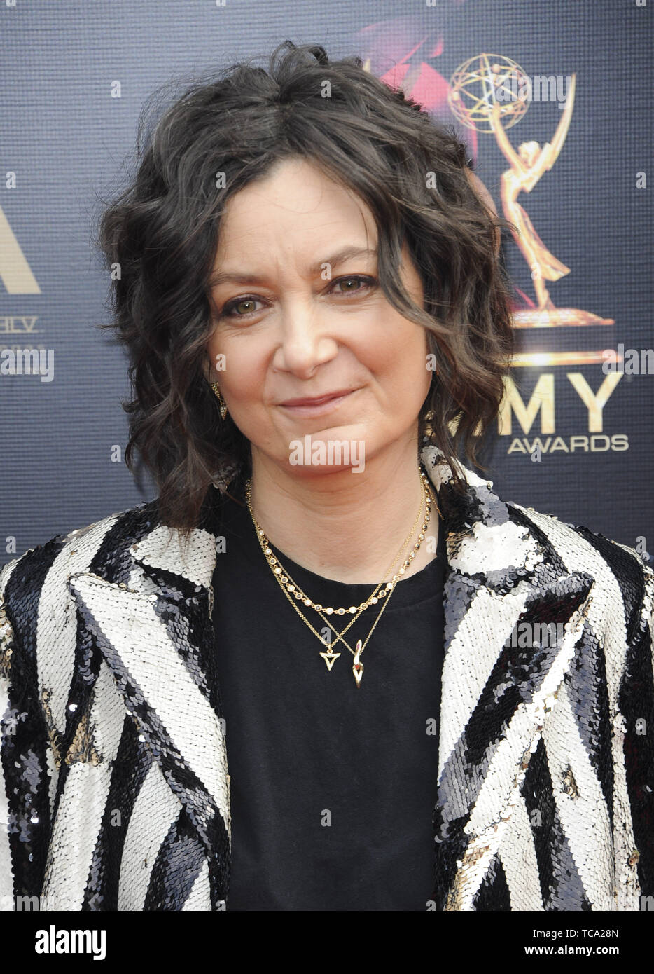 The 46th Annual Daytime Emmy Awards Arrivals Featuring: Sara Gilbert ...