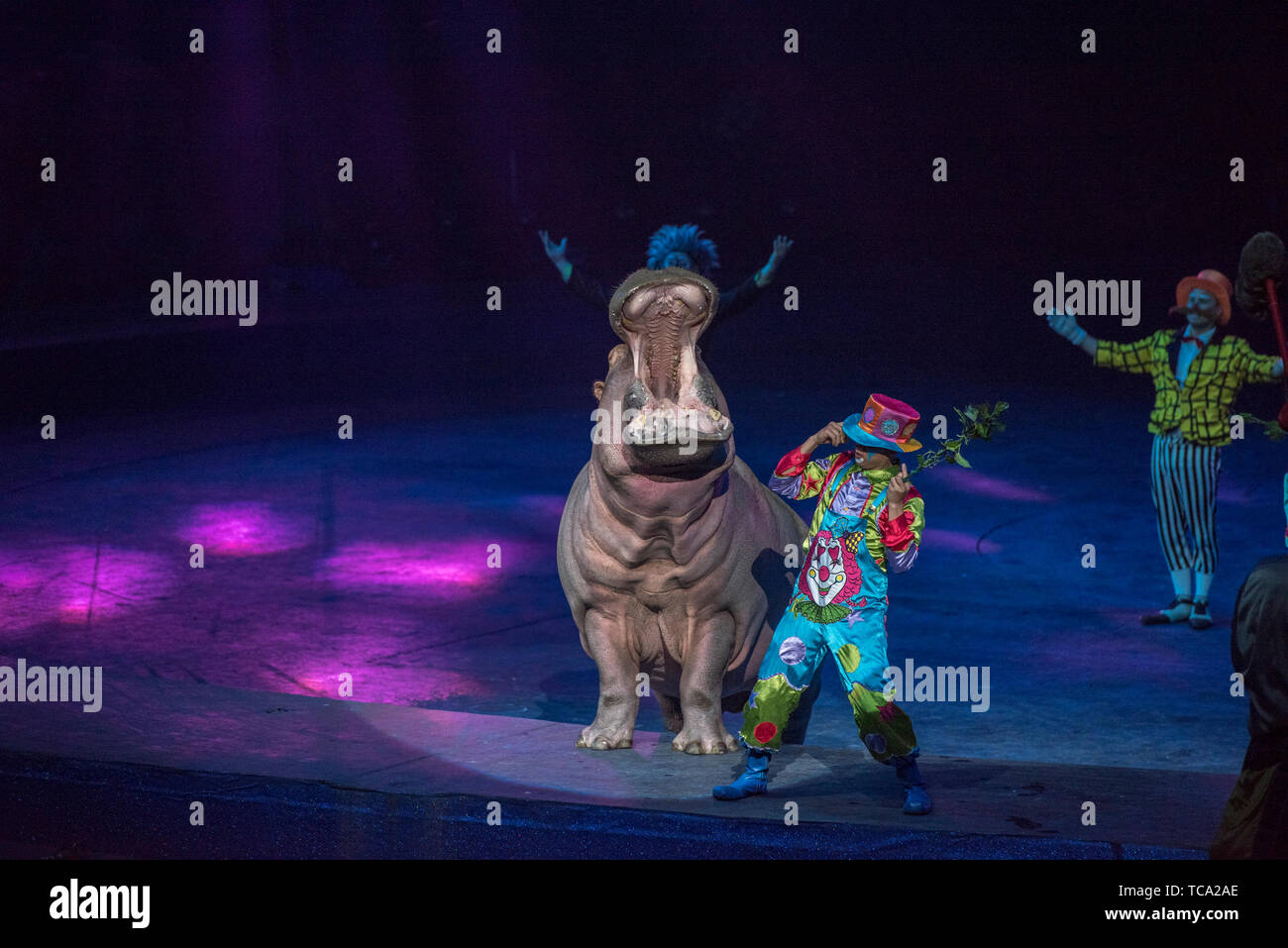 Great circus performance in Changlong, Guangzhou Stock Photo - Alamy