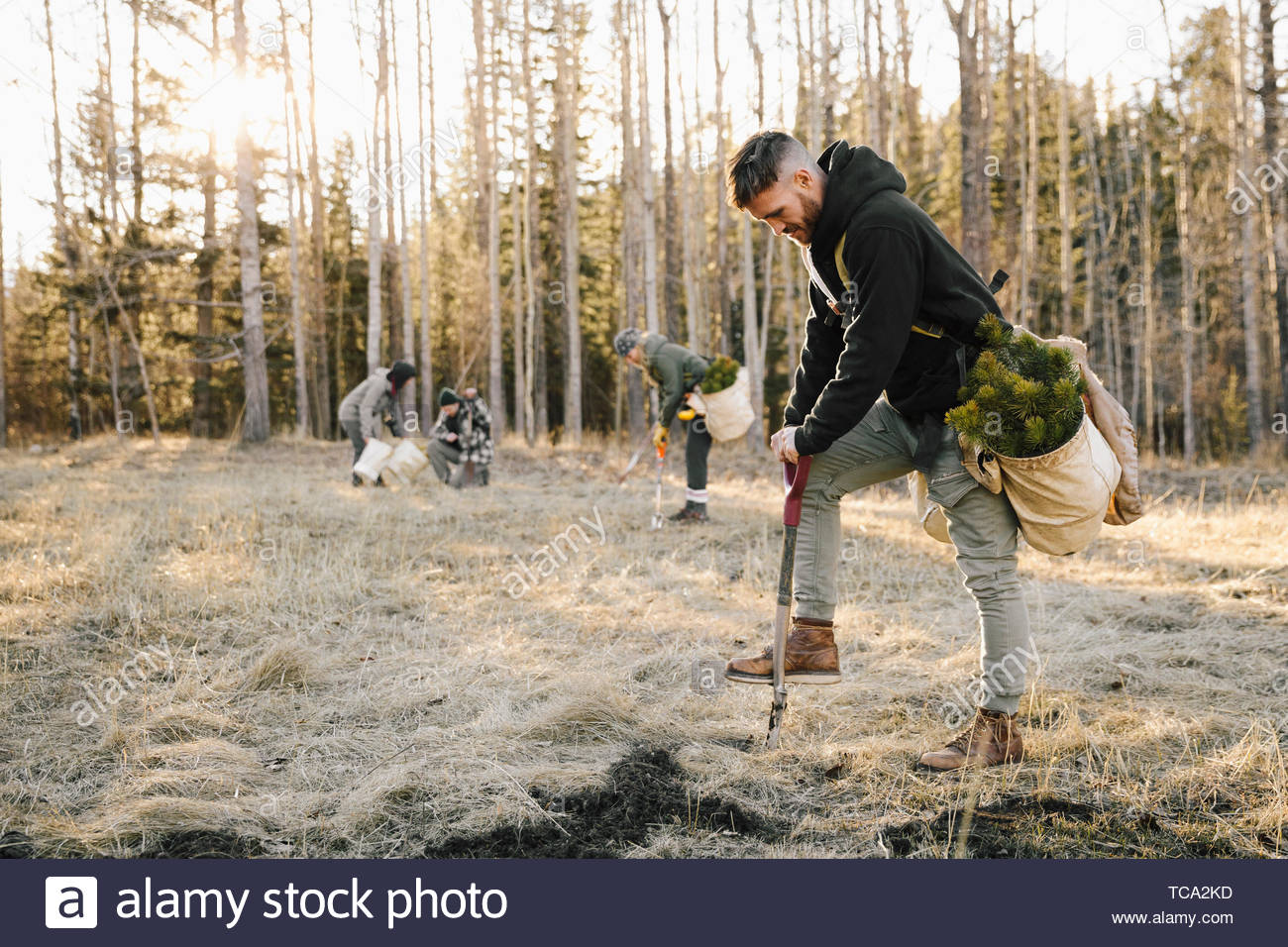 Man planting trees hi-res stock photography and images - Alamy