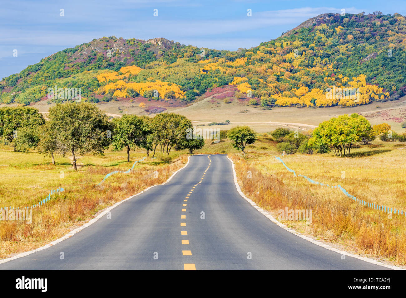 Paddock dam hi-res stock photography and images - Alamy