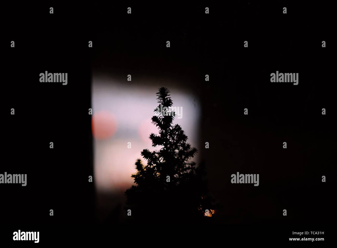 Christmas tree by the window Stock Photo - Alamy