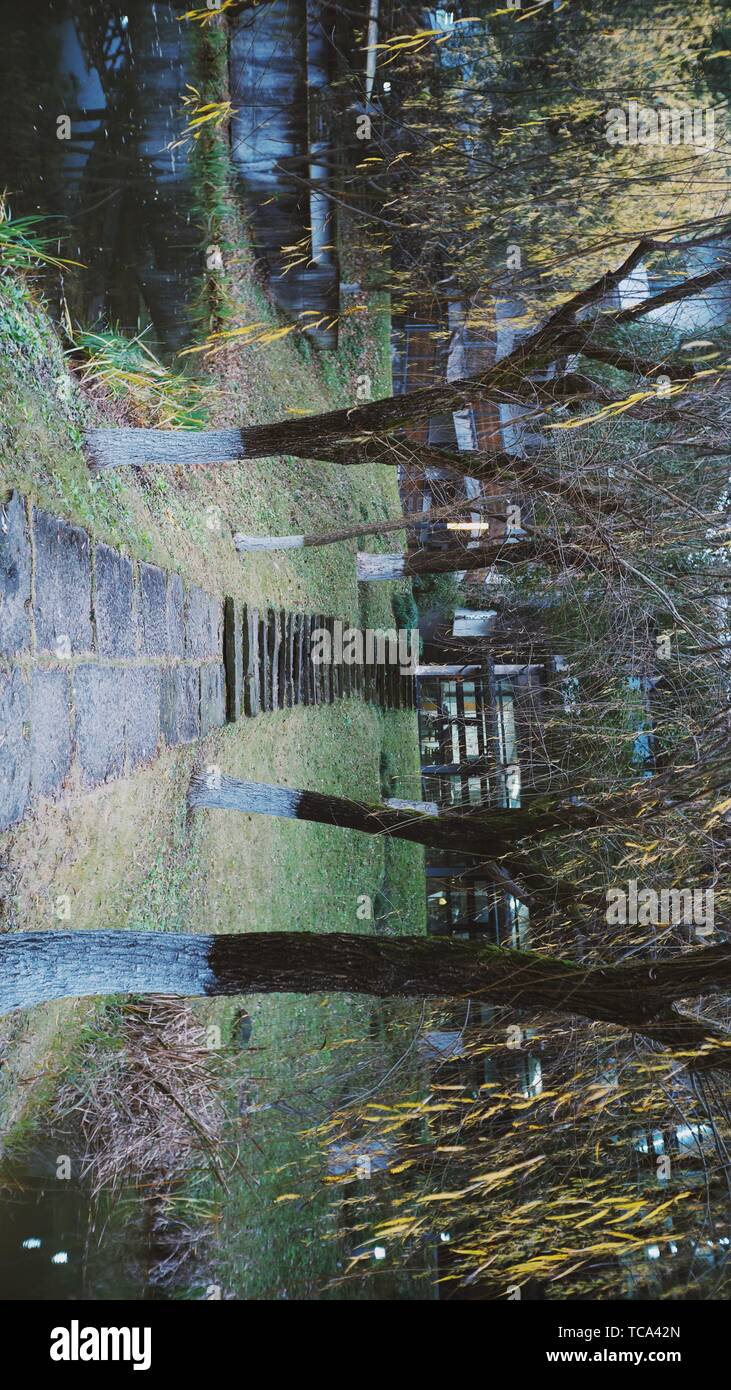 The Beauty of Chinese Art Academy Design The Beauty of Jiangnan ...