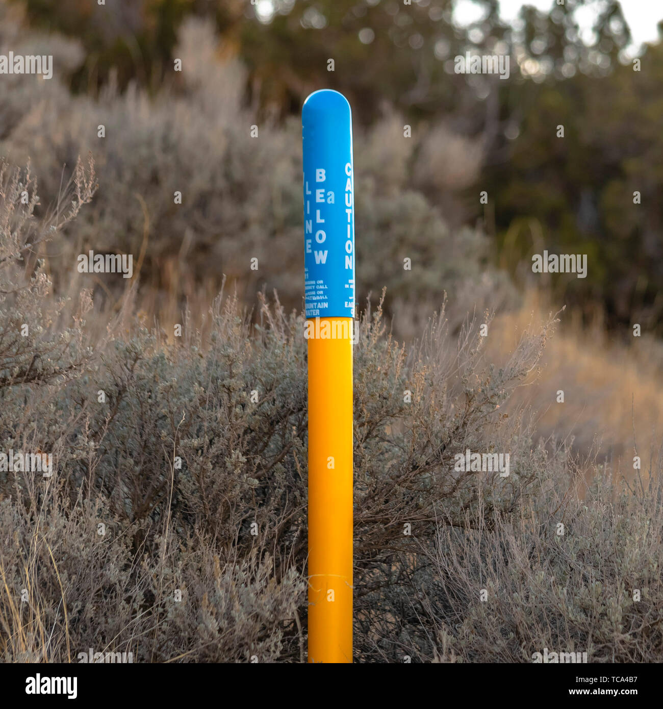 Square Bright yellow Caution pole with a blue tip isolated against ...