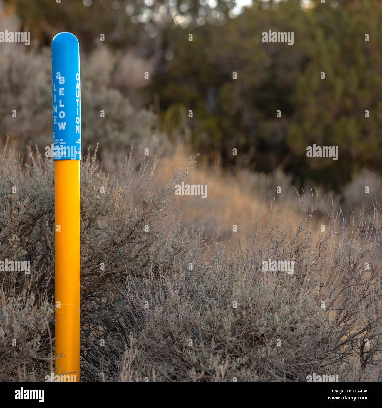 Frame Square Bright yellow Caution pole with a blue tip isolated ...