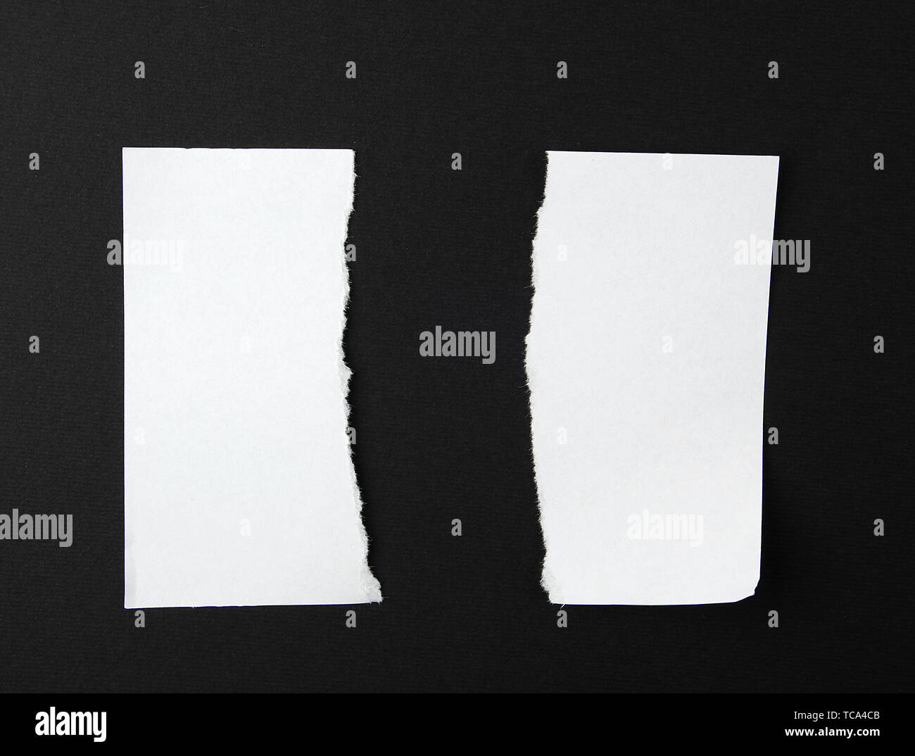 torn in half empty white sheet of paper on black background, close up ...