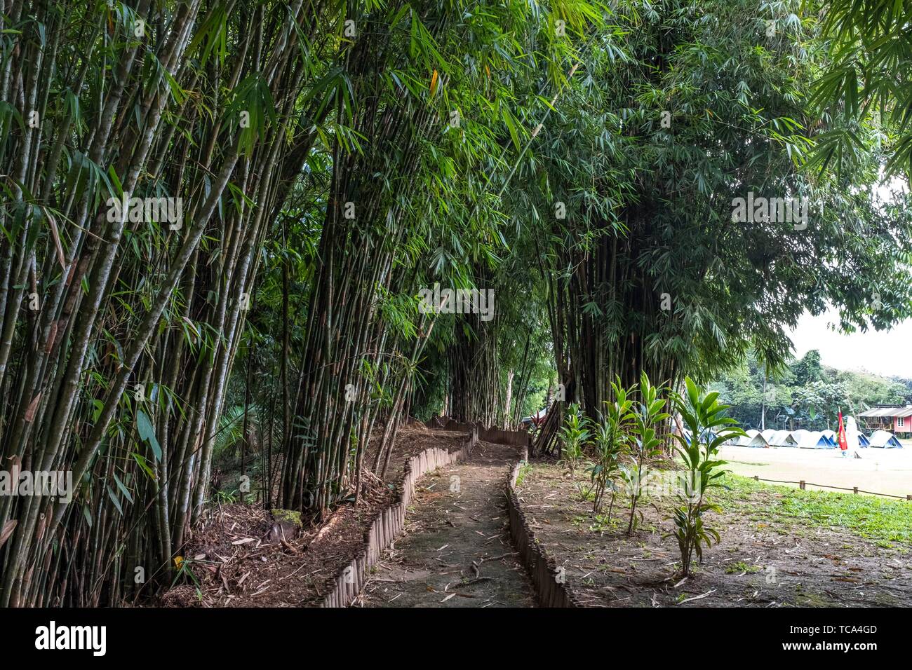 Batu kawa hi-res stock photography and images - Alamy
