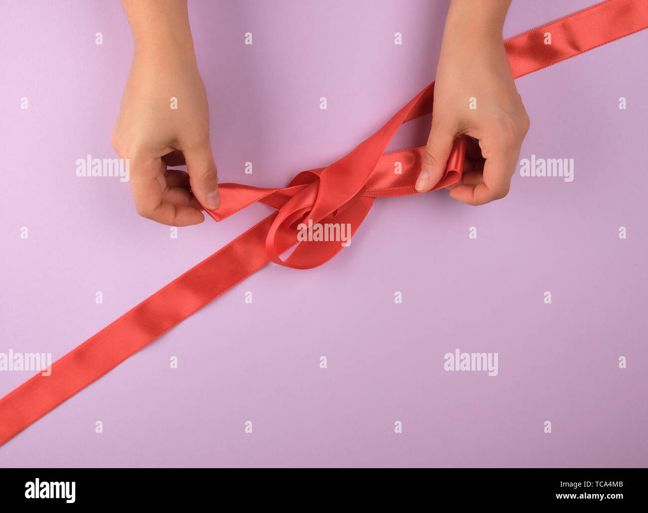 two female hands tie a bow of red satin ribbons, purple background ...