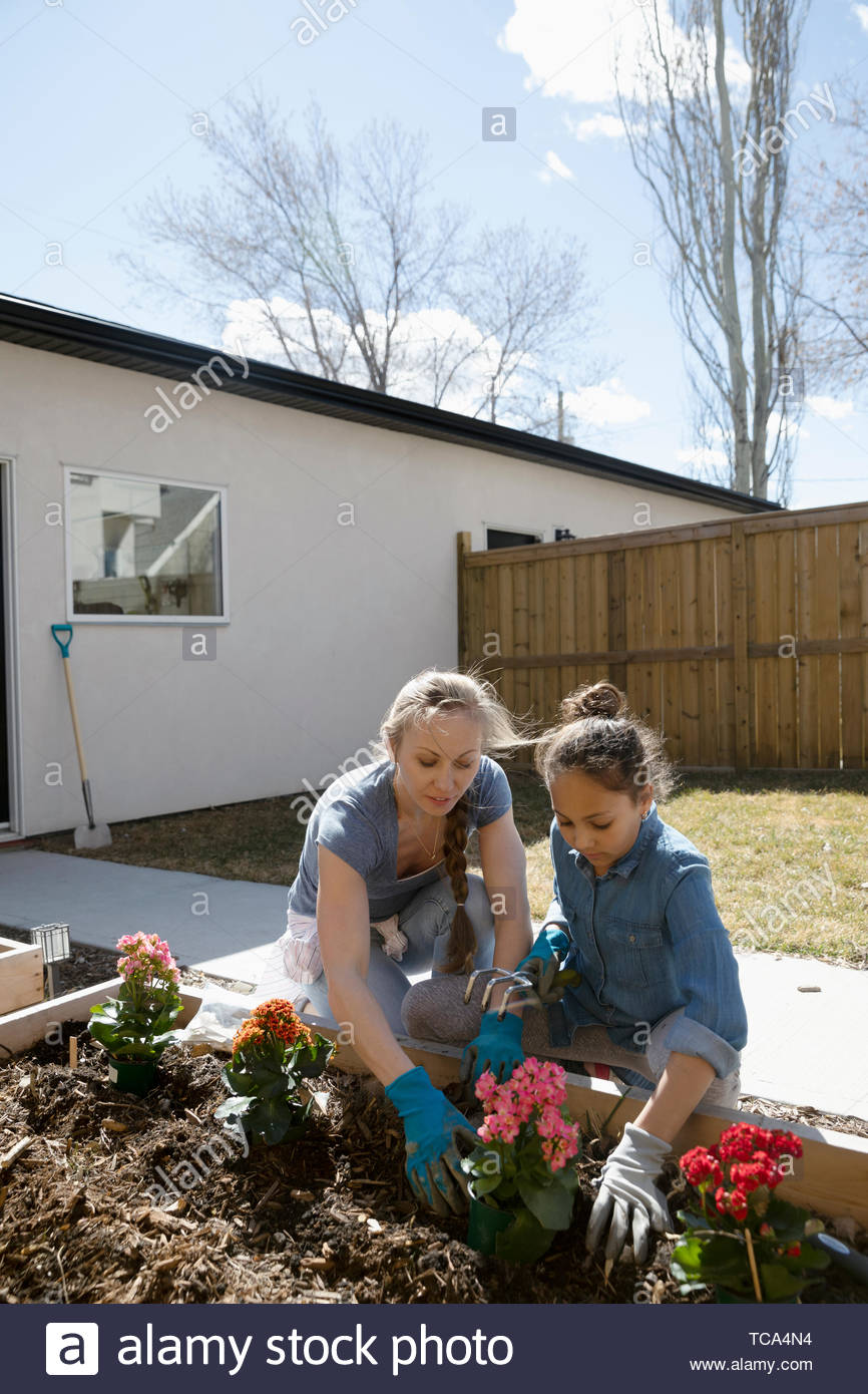 Yard planting hi-res stock photography and images - Alamy