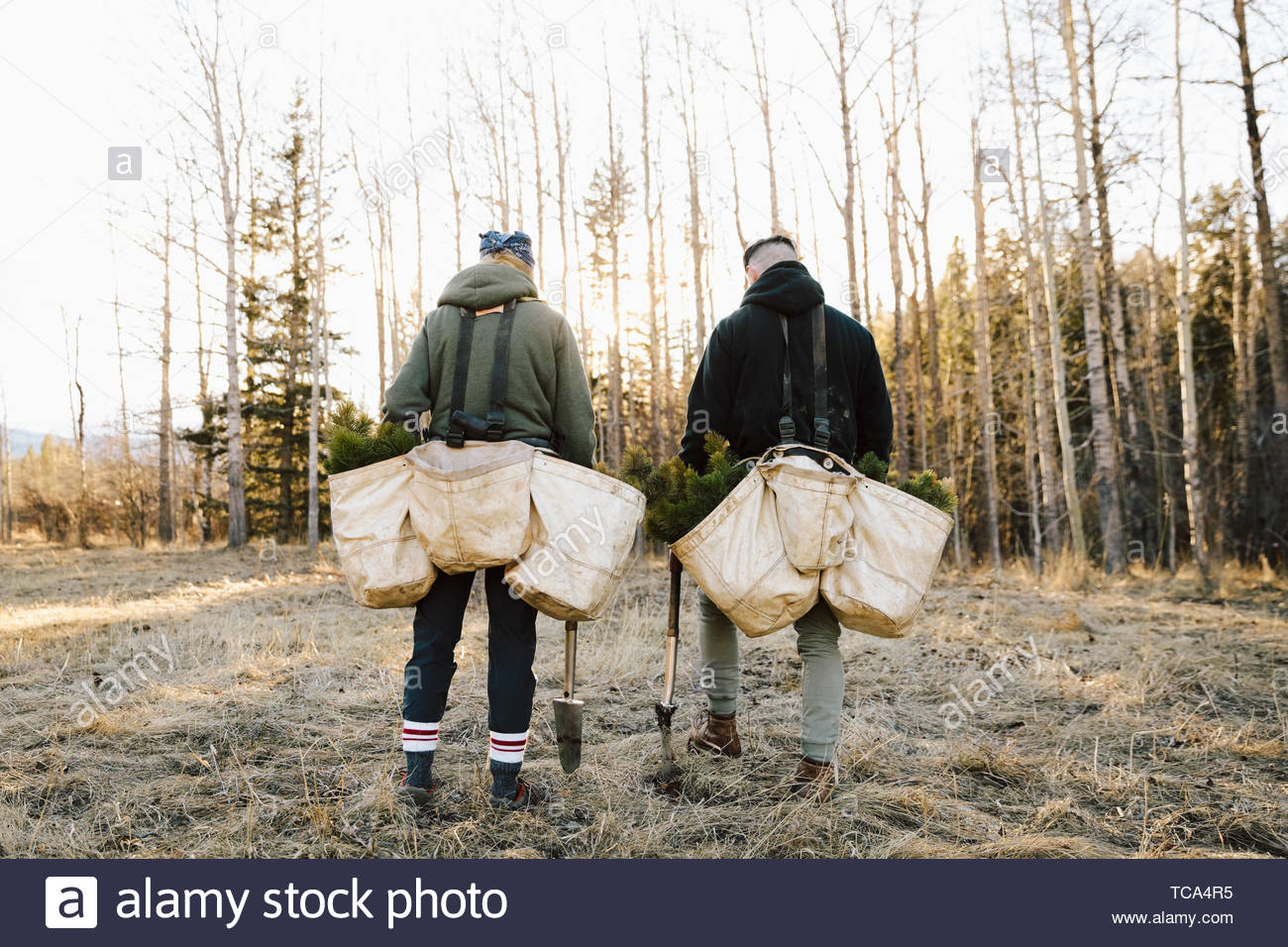 People planting tree together hi-res stock photography and images - Alamy