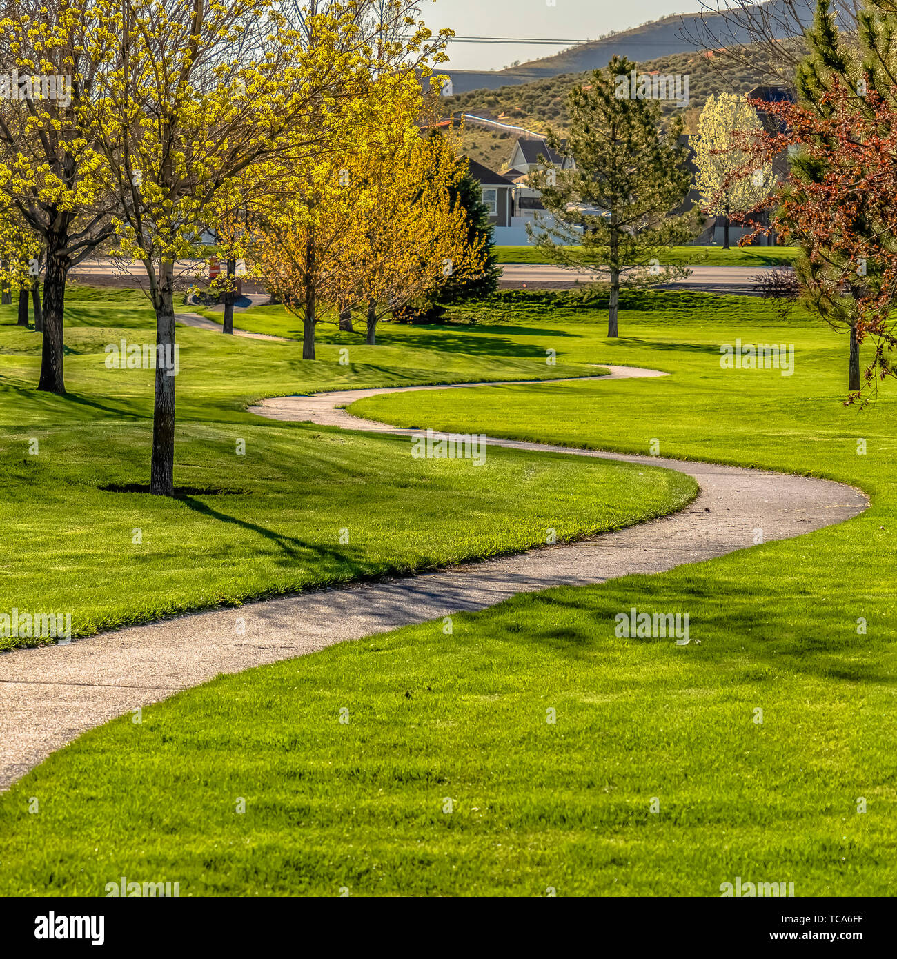 Square Pathway winding through a terrain with rich green grasses and ...