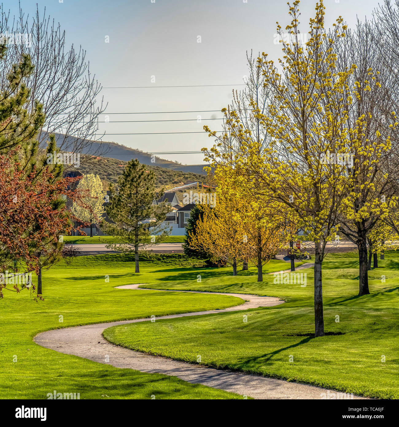 Frame Frame Square Pathway winding through a terrain with rich green ...