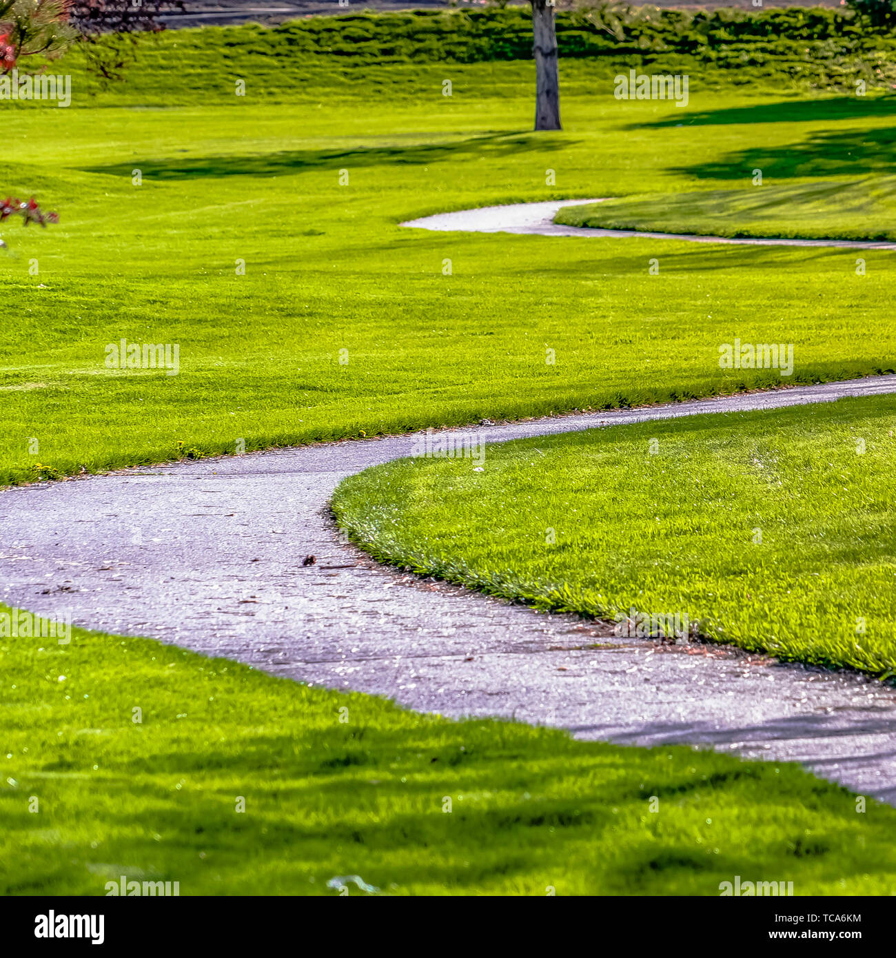 Square Pathway curving amid a lush field with young colorful trees on a ...