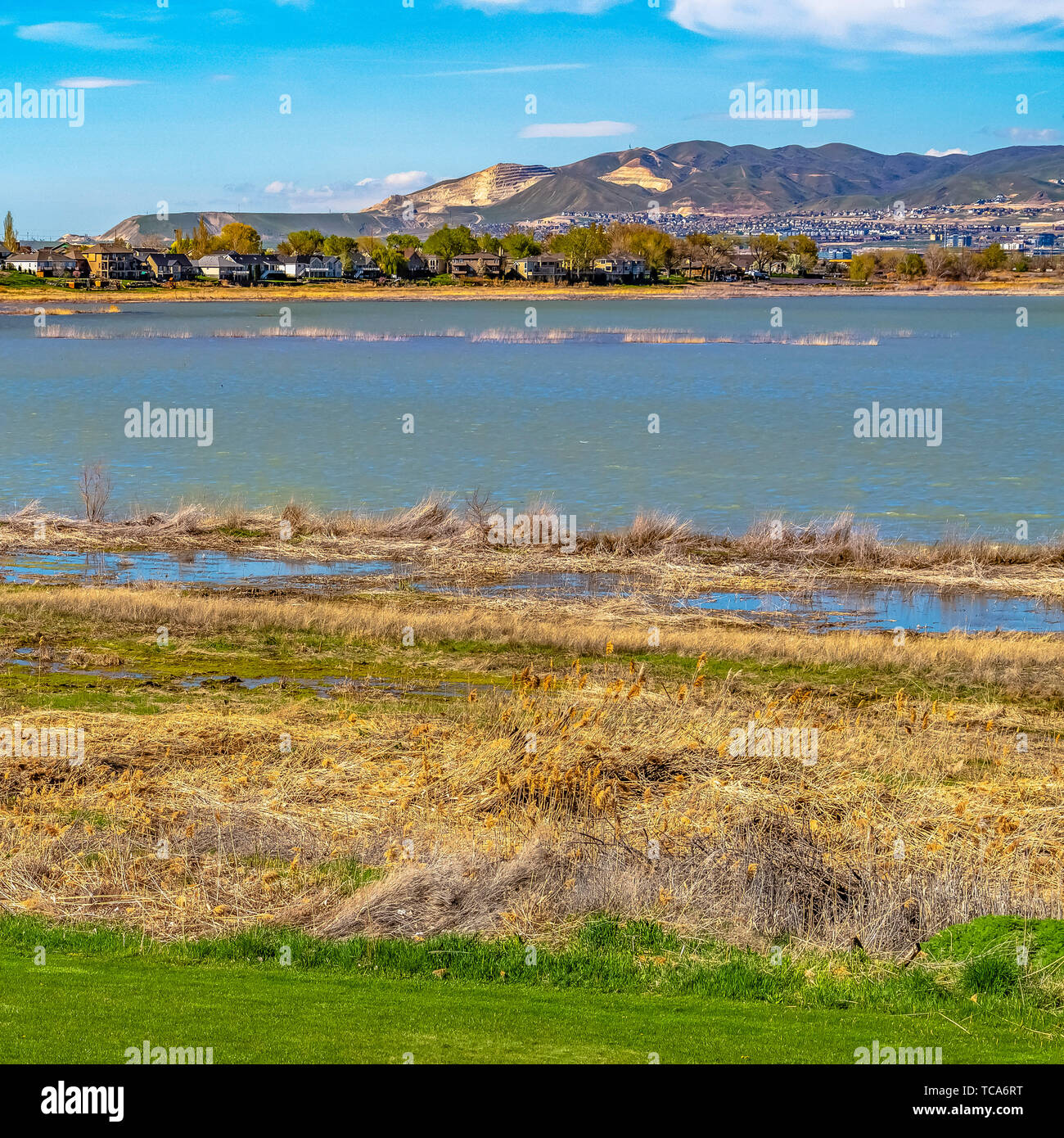 Square Bright green grassy field in front of a lake that reflects the ...