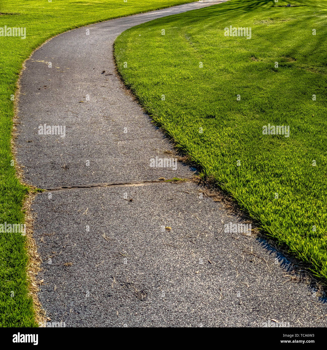 Frame Square Close up of a pathway that leads to the road in front of ...