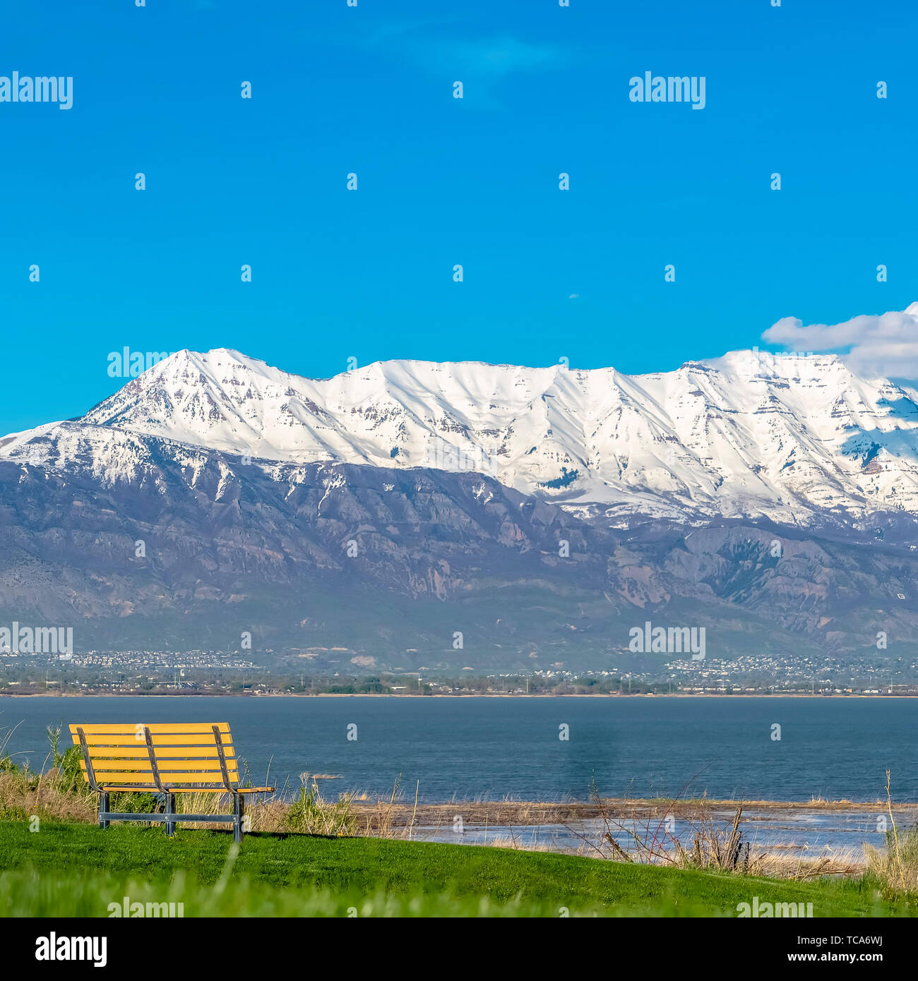 Square Grassy terrain with an empty outdoor bench facing a lake and ...