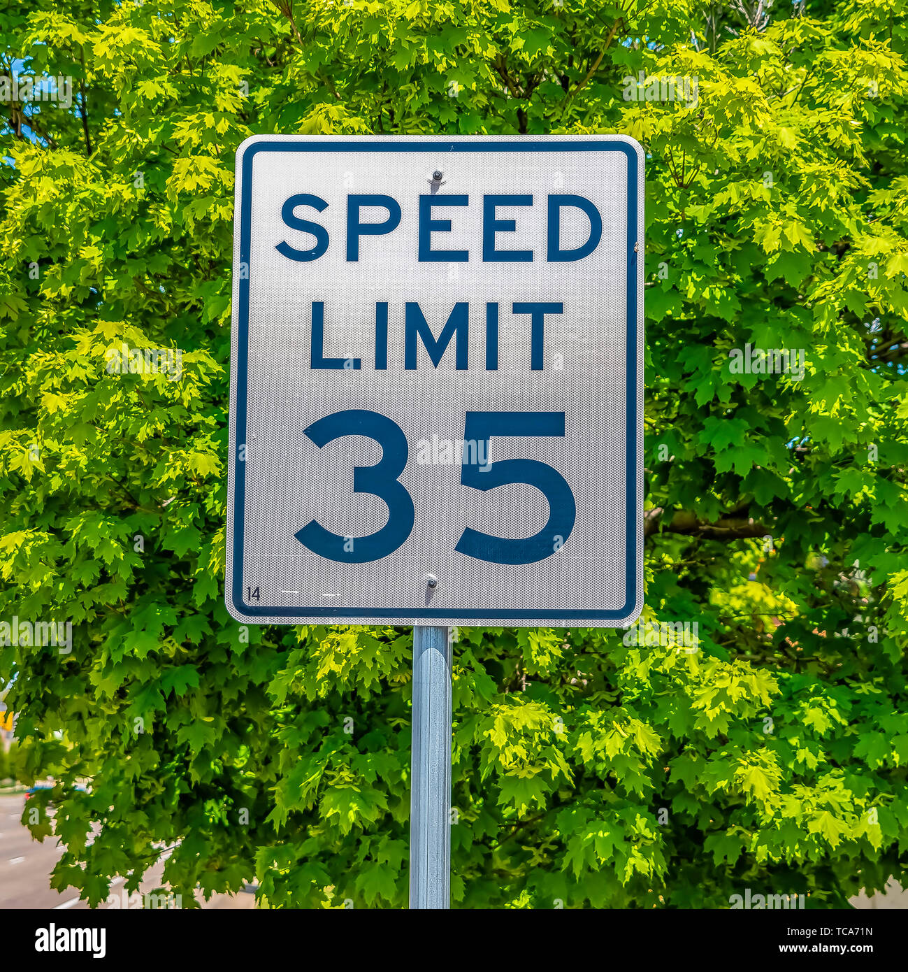 Square Speed Limit road sign against a tree with radiant green foliage ...