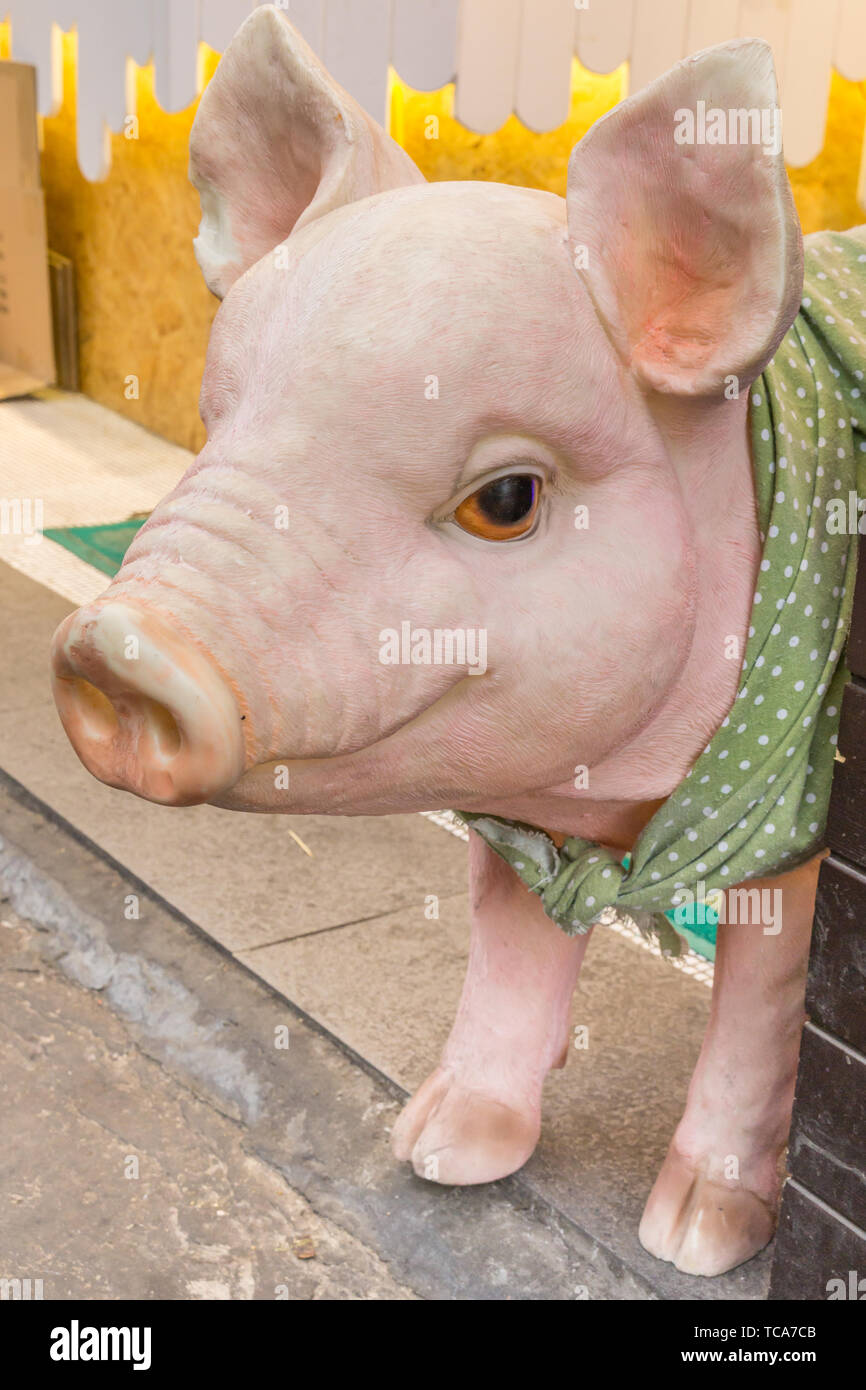 Pig head model hi-res stock photography and images - Alamy