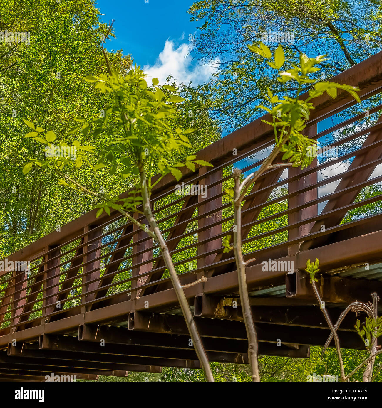 Square Bridge with metal guardrails over the glistening water at Ogden ...