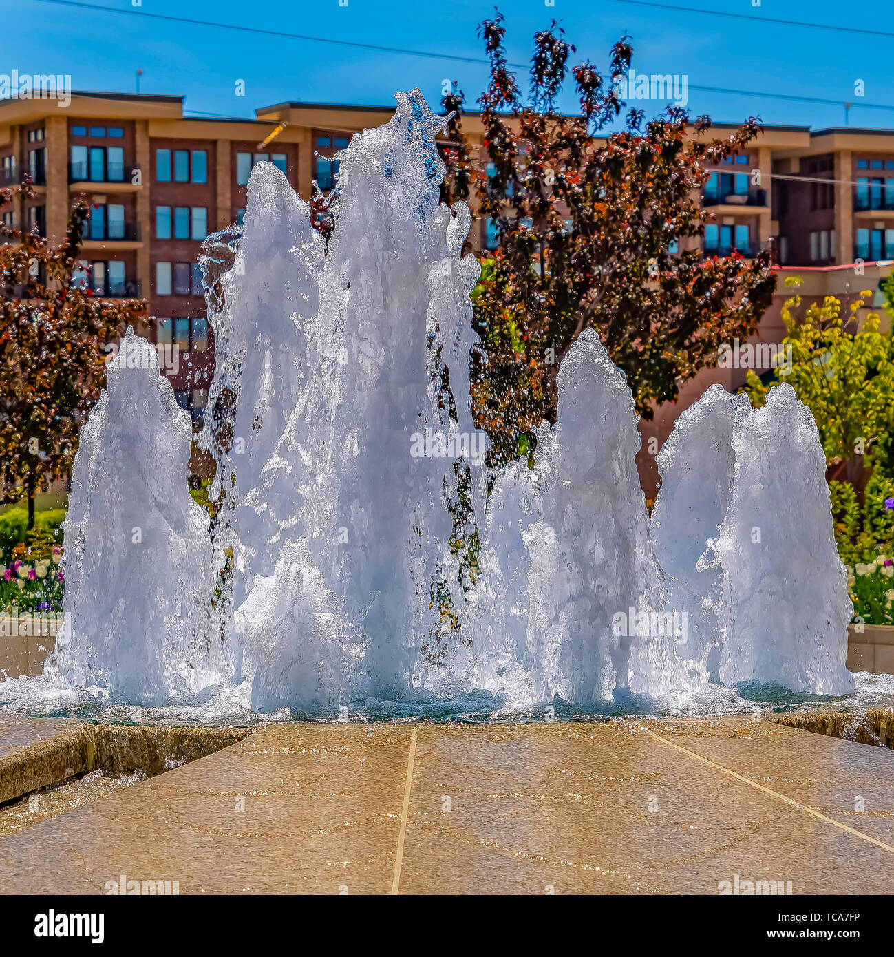 Square Fountain with sparkling water surging upwards against flowers ...