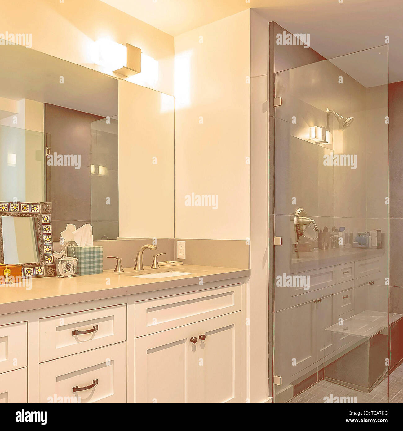 Square Bathroom interior with shower separated from the vanity area by ...