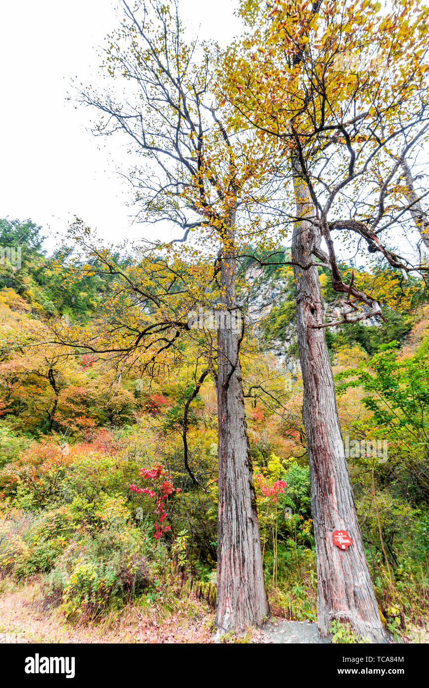 Autumn scenic spots Stock Photo - Alamy