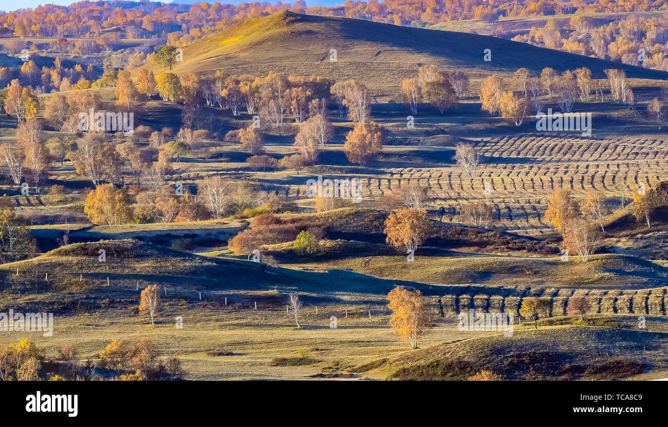 Kim dam hi-res stock photography and images - Alamy