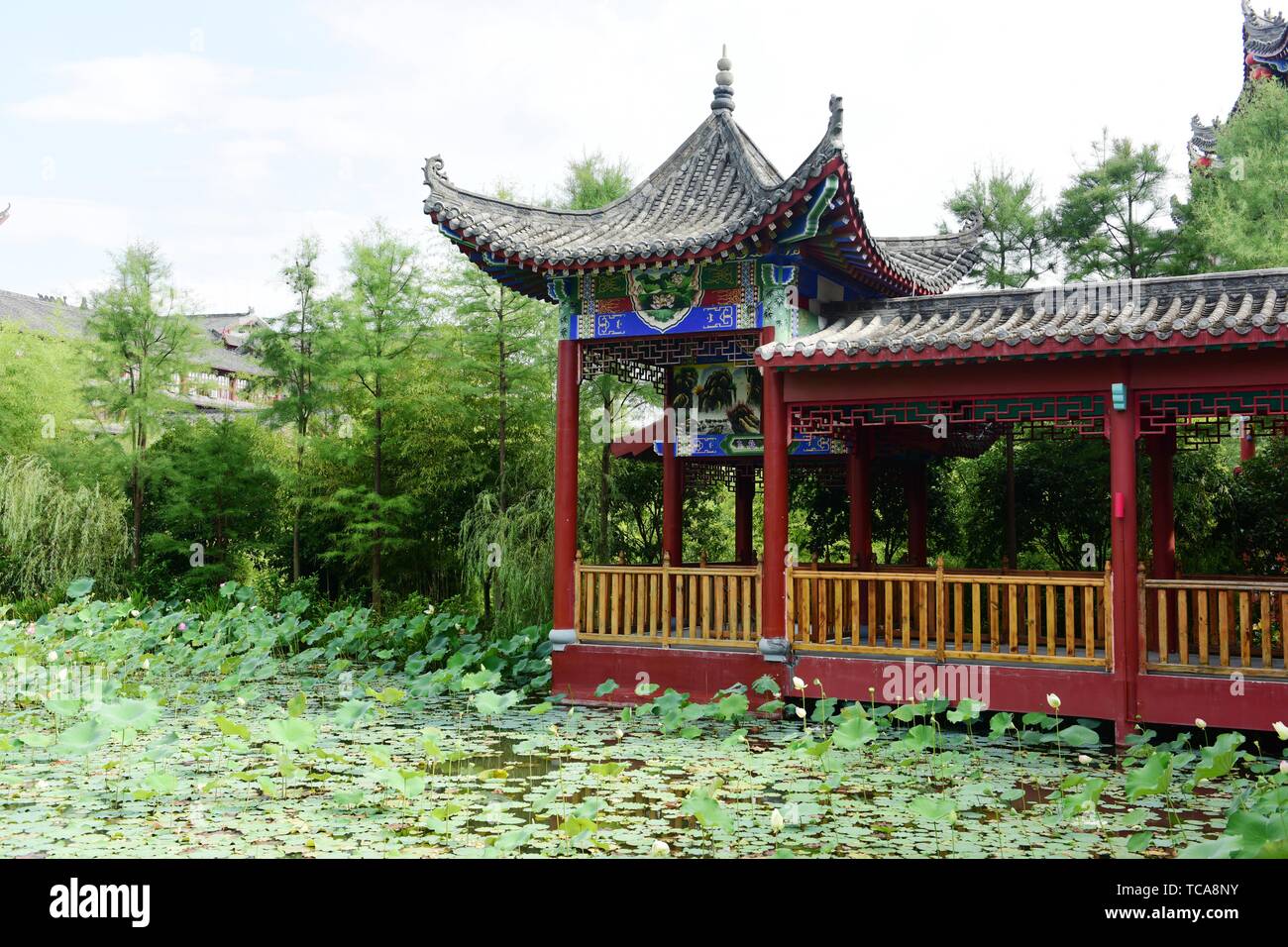 Antique architecture and lotus pavilion lotus Stock Photo - Alamy