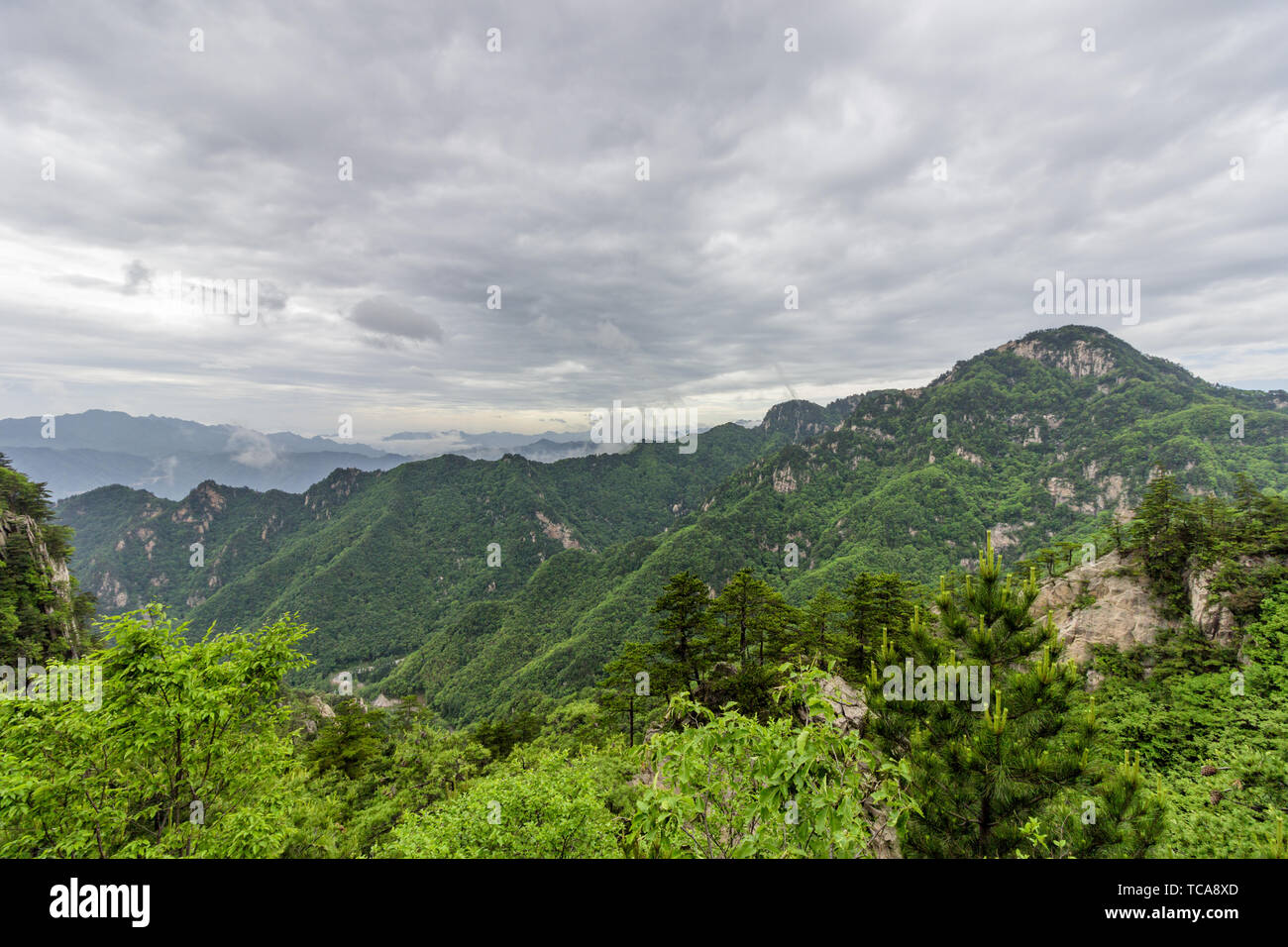 Funiu mountain hi-res stock photography and images - Alamy