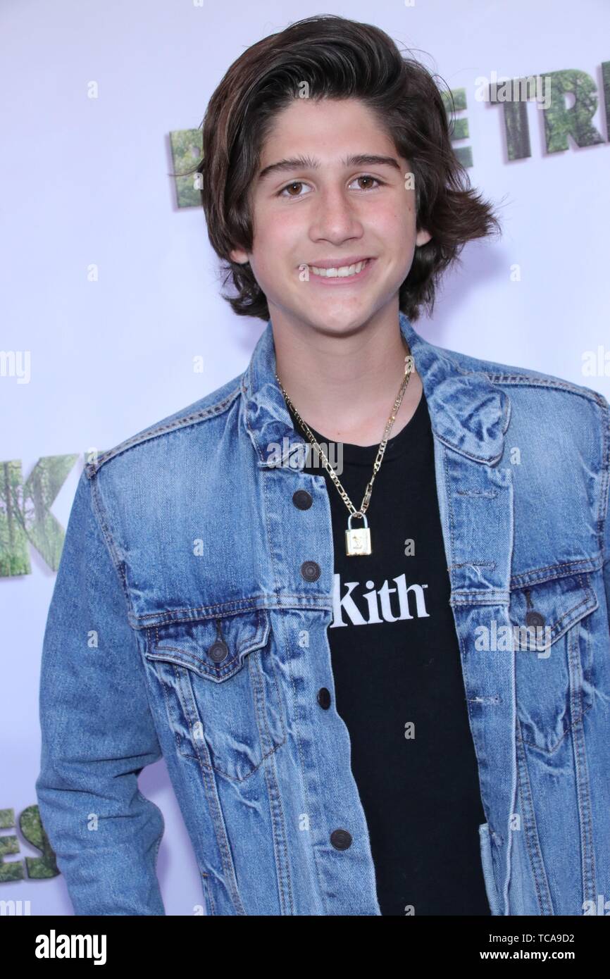 'Be Like Trees' Premiere - Arrivals Featuring: Zach Hennessey Where ... 'Be Like Trees' Premiere - Arrivals Featuring: Zach Hennessey Where ...