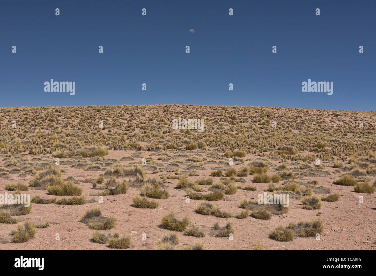 Full moon over the desert hi-res stock photography and images - Alamy