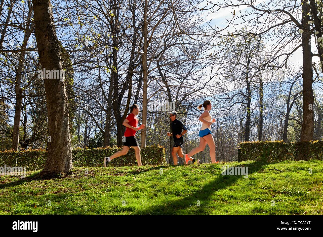 Parque el retiro madrid hi-res stock photography and images - Alamy