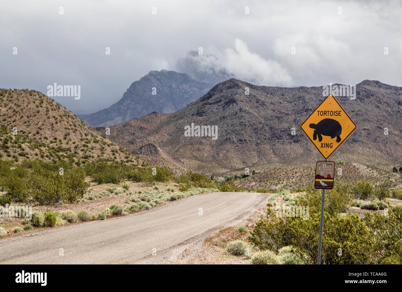Nm sign hi-res stock photography and images - Alamy
