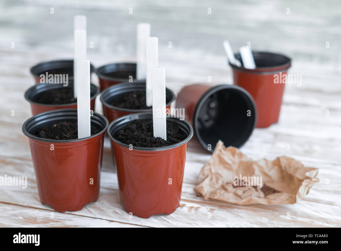 White tags in brown pots and seeds on white wooden background Stock ...