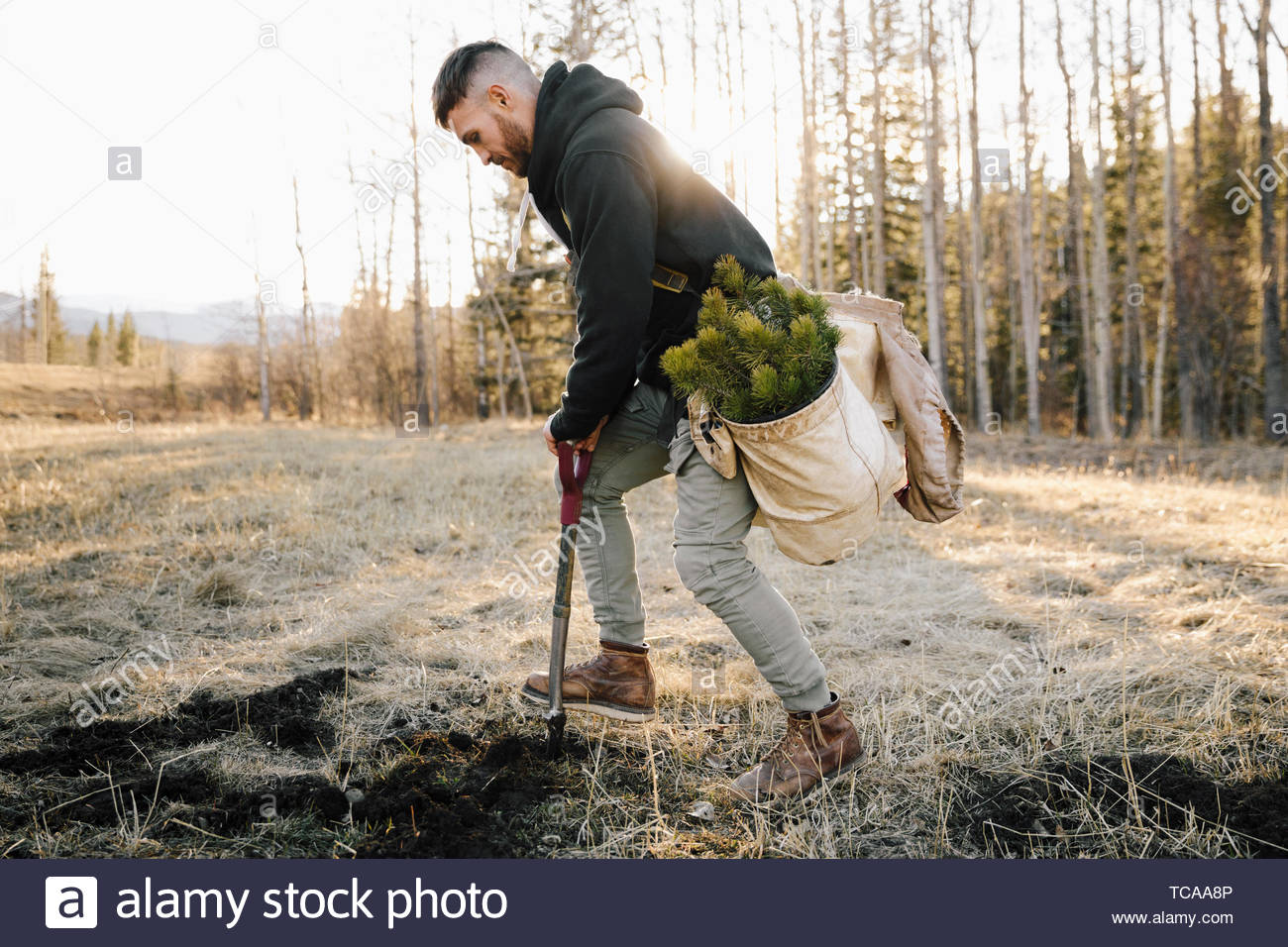 Men digging in woods hi-res stock photography and images - Alamy