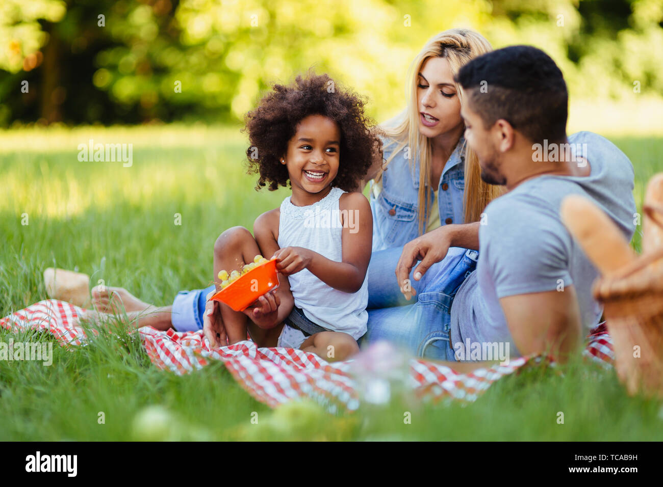Happy family having fun time on picnic Stock Photo - Alamy