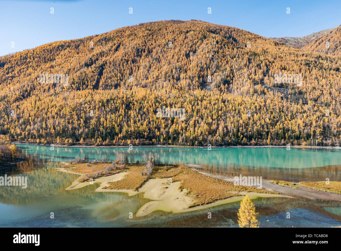 Outdoor wolong hi-res stock photography and images - Alamy