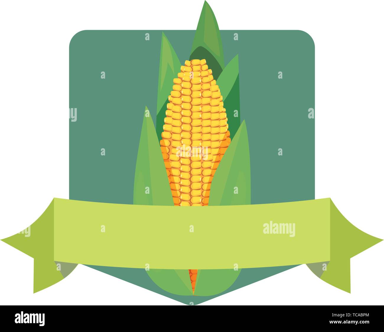 corn fresh vegetables farm food vector illustration Stock Vector Image ...