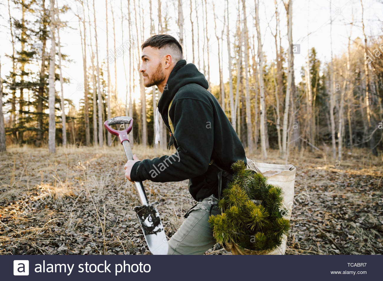 Man planting trees hi-res stock photography and images - Alamy
