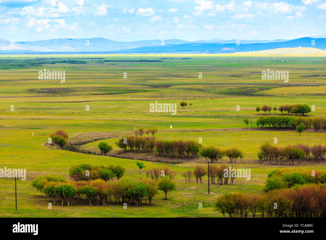 Summer in Hulunbuir Prairie, Inner Mongolia Stock Photo - Alamy