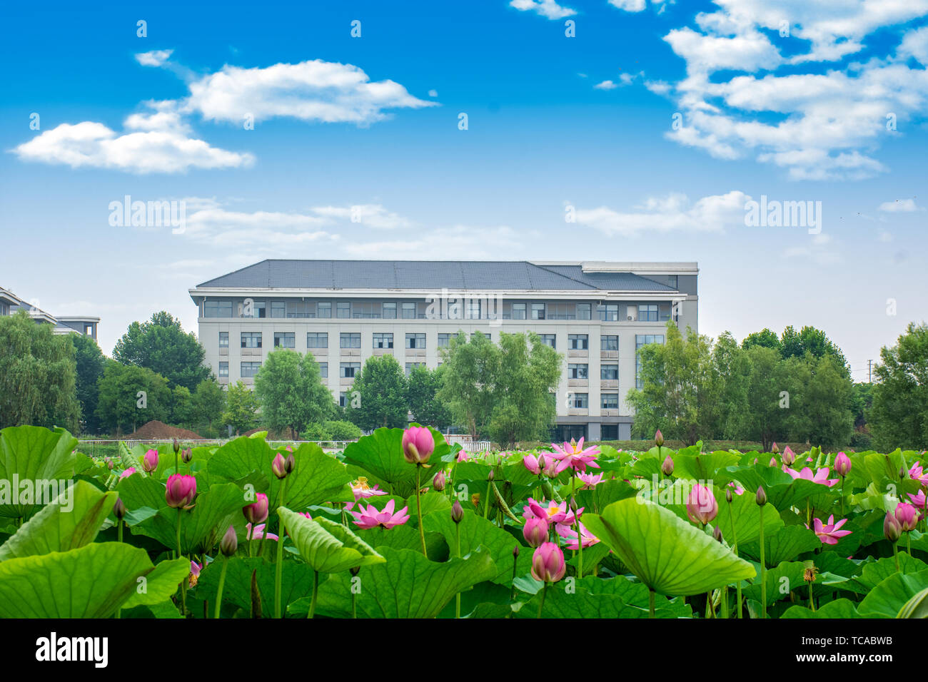 Southeast University is a key national university directly under the ...