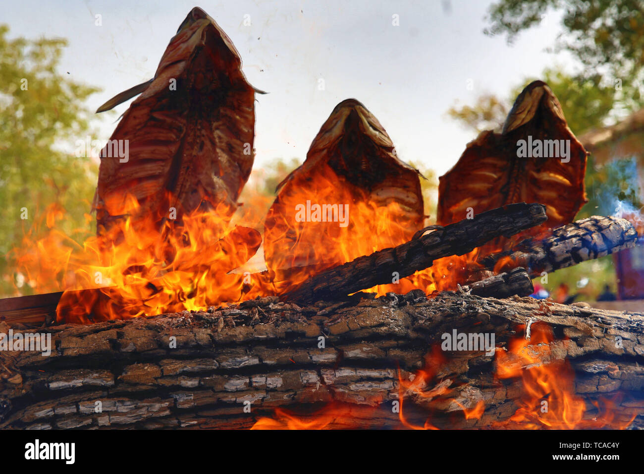 Red Sea roast fish Stock Photo - Alamy