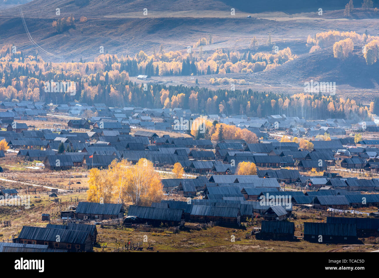 Autumn color of grasses Stock Photo - Alamy