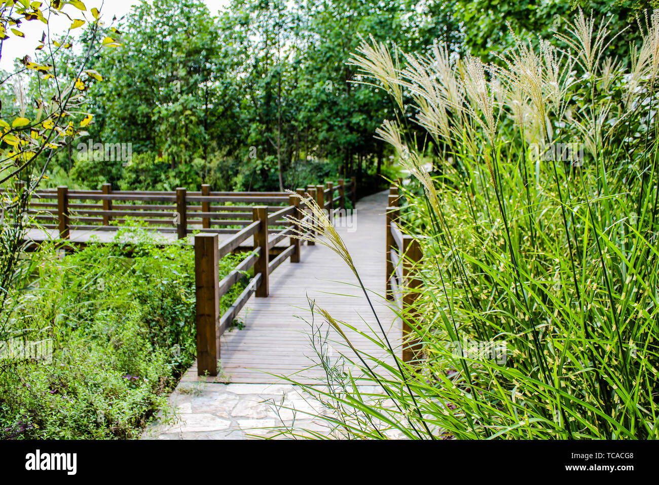 Scenery of Gucun Park in Shanghai Stock Photo - Alamy