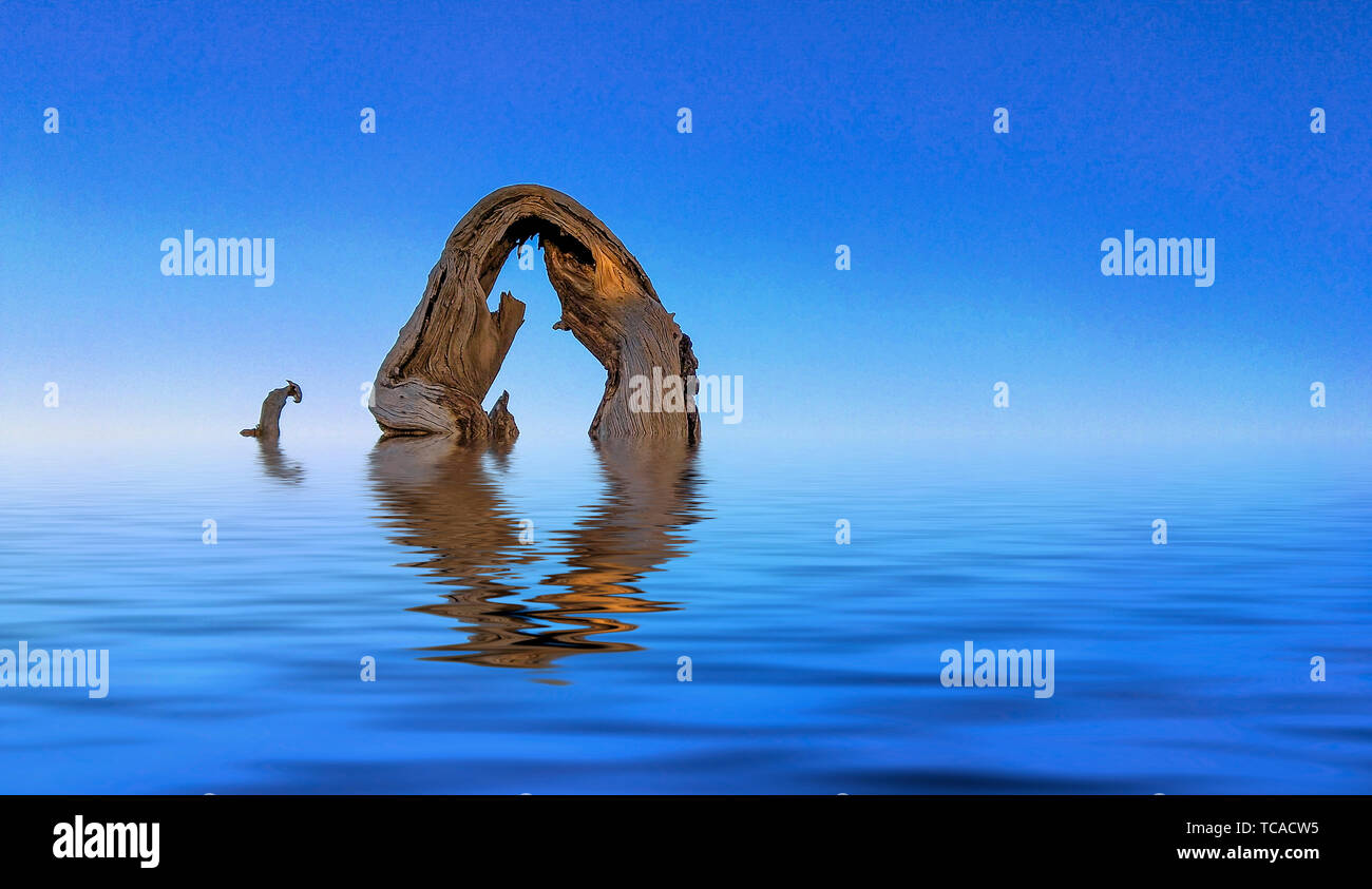 Dream Poplar on the water side Stock Photo - Alamy