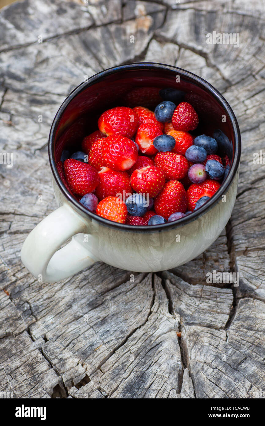 Combined fruit cups Stock Photo - Alamy