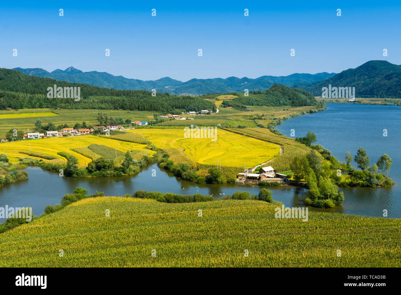 Fall country fields Stock Photo - Alamy