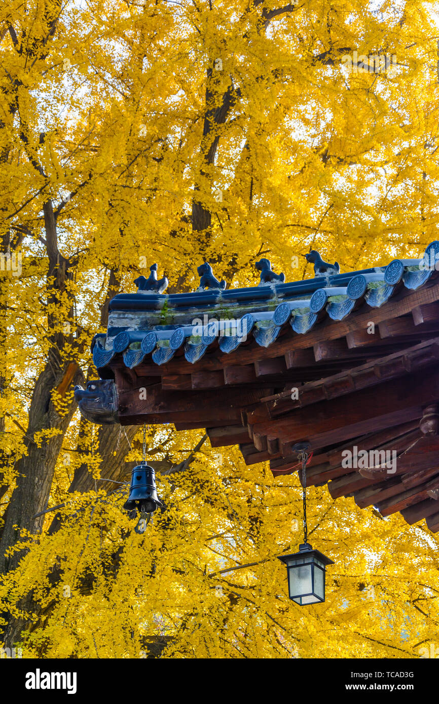 Photographs of the ancient Guanyin Zen Temple in Xi'an City, containing ...