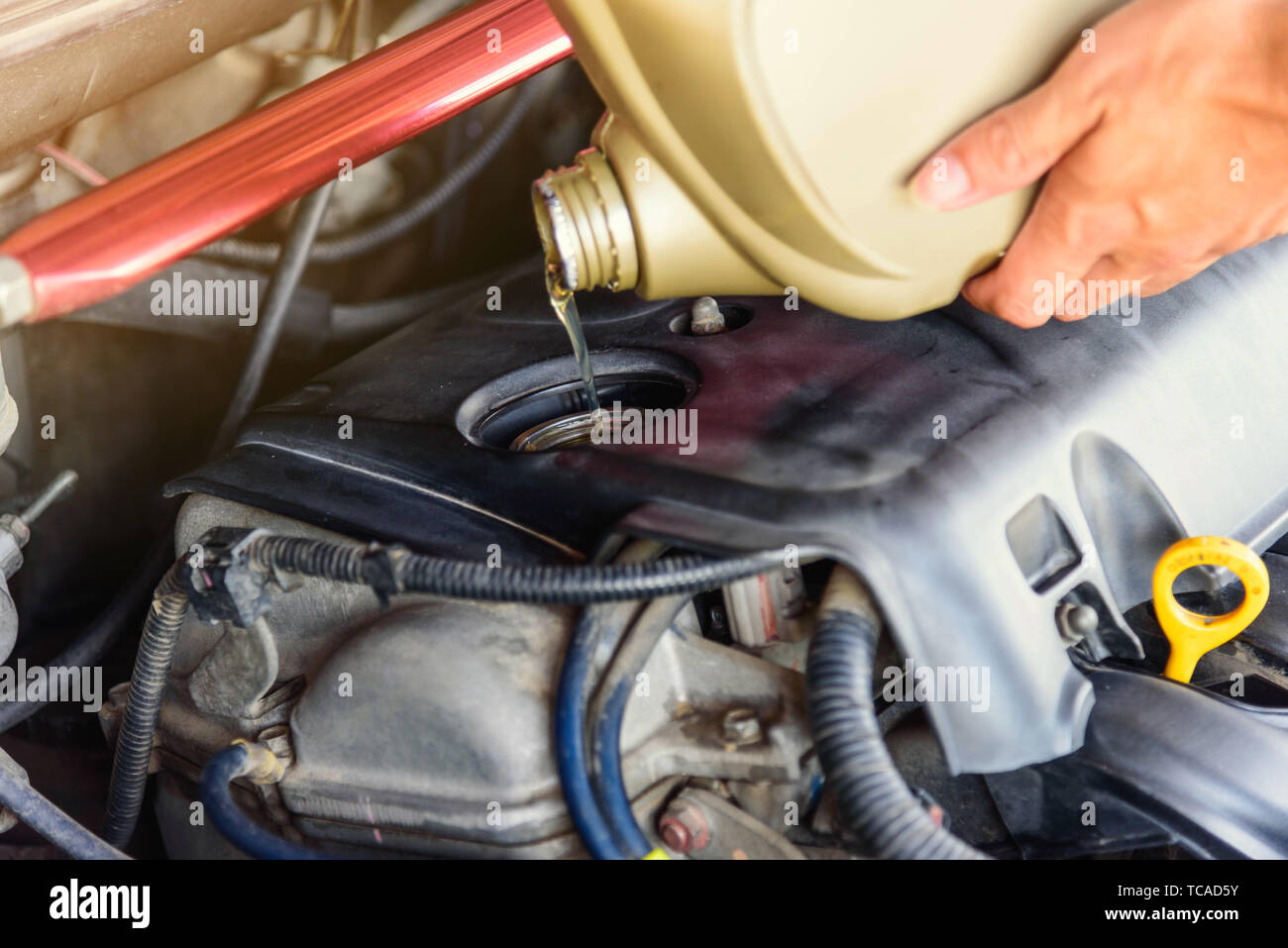 Fill the oil machine to engine of the car / worker take the Oil gallon ...